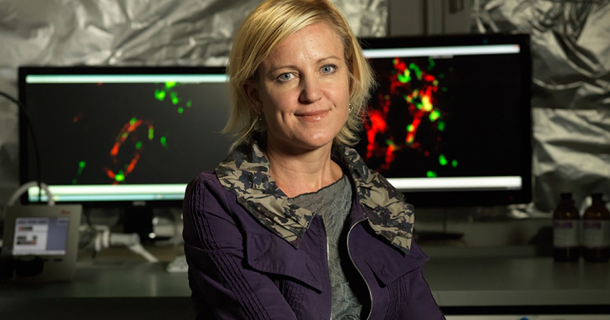 Melody Swartz Elected to National Academy of Engineering ...